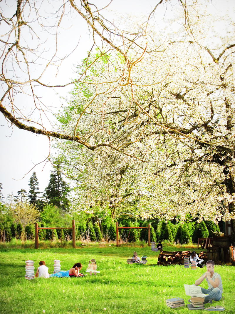 CONCEPT | Stephen Collier Architects