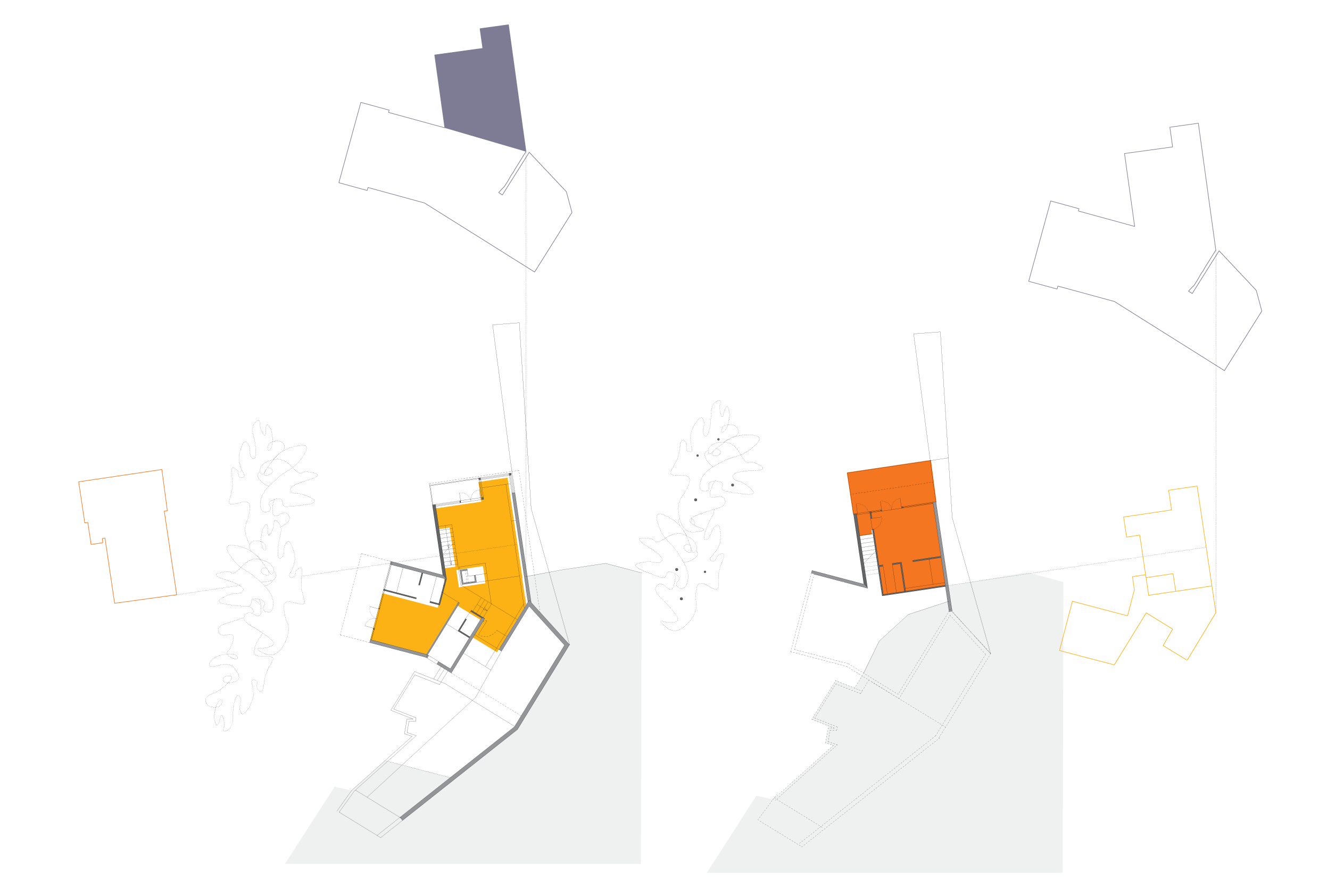 Yhouse01 | Stephen Collier Architects