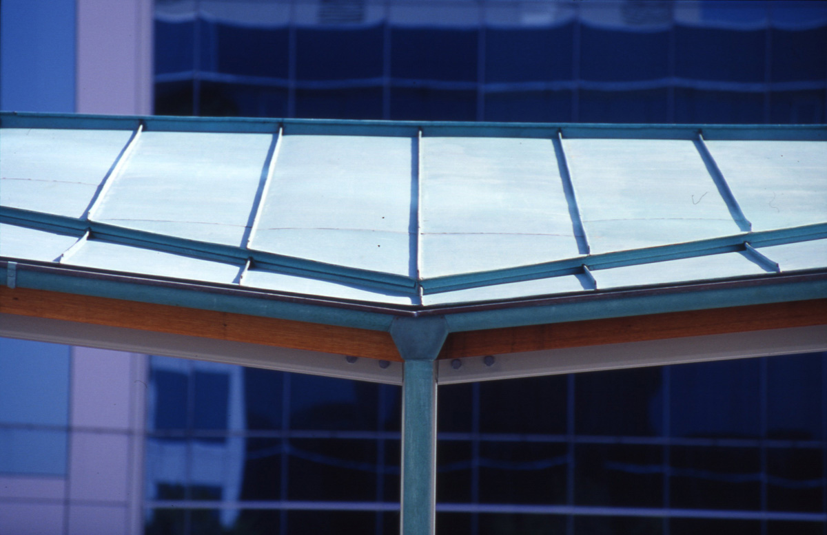 office_roof_garden_02 | Stephen Collier Architects