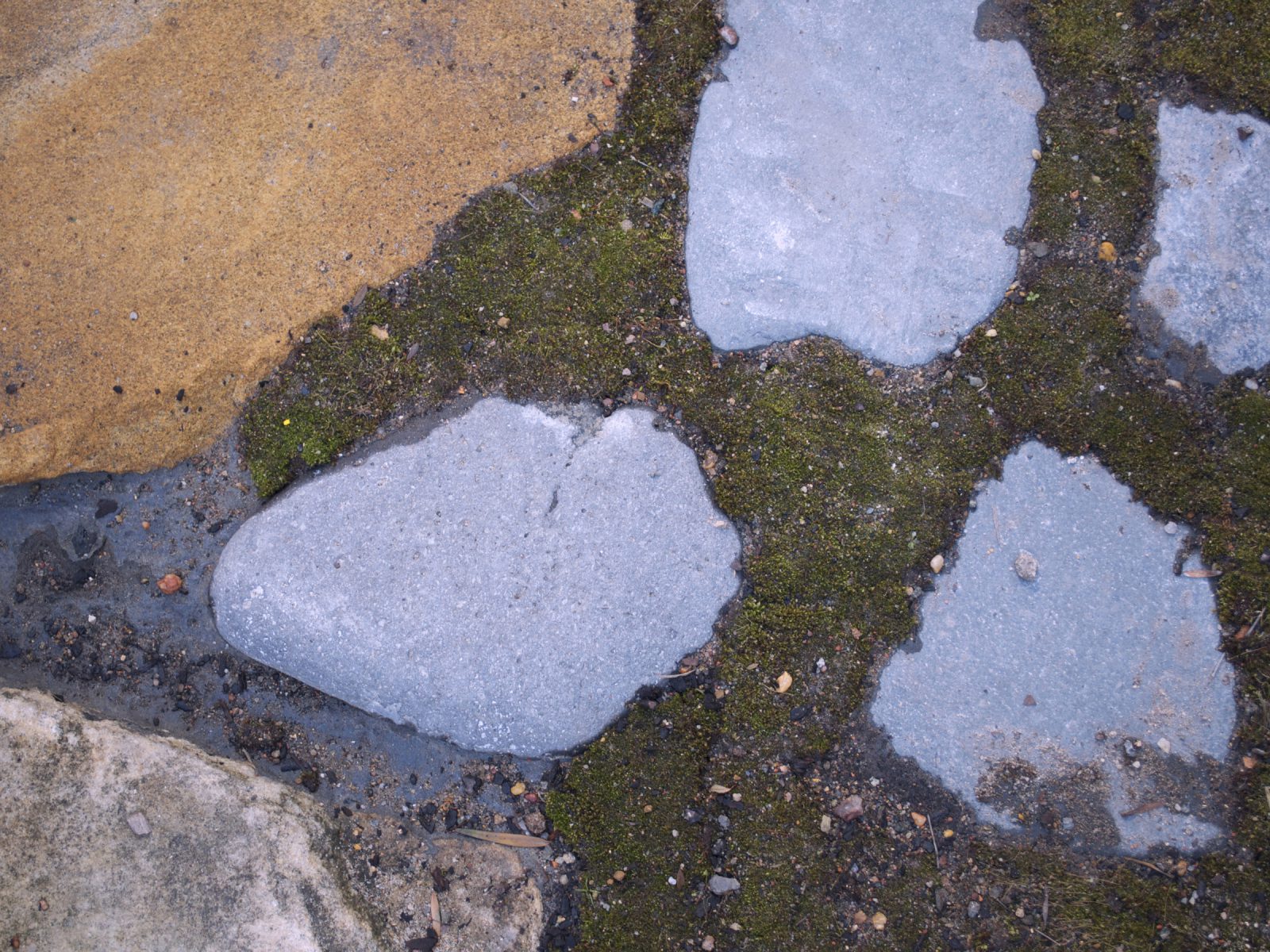 Awards | Stephen Collier Architects